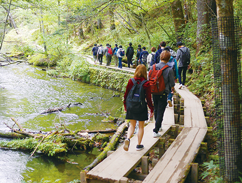 学校法人江戸川学園 江戸川大学 ｜ English